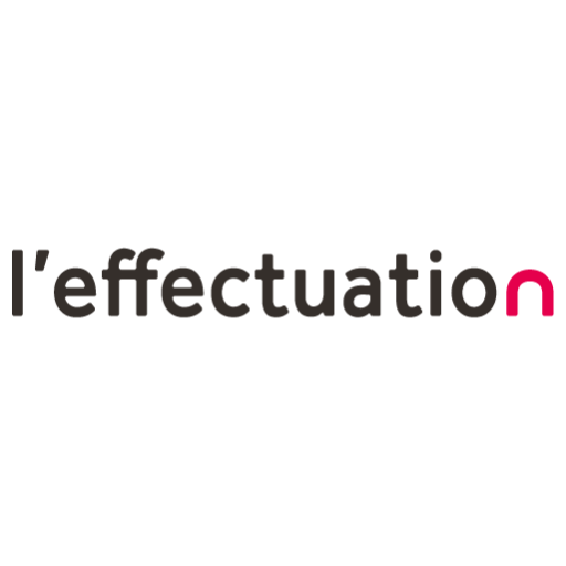 Définition - L'effectuation